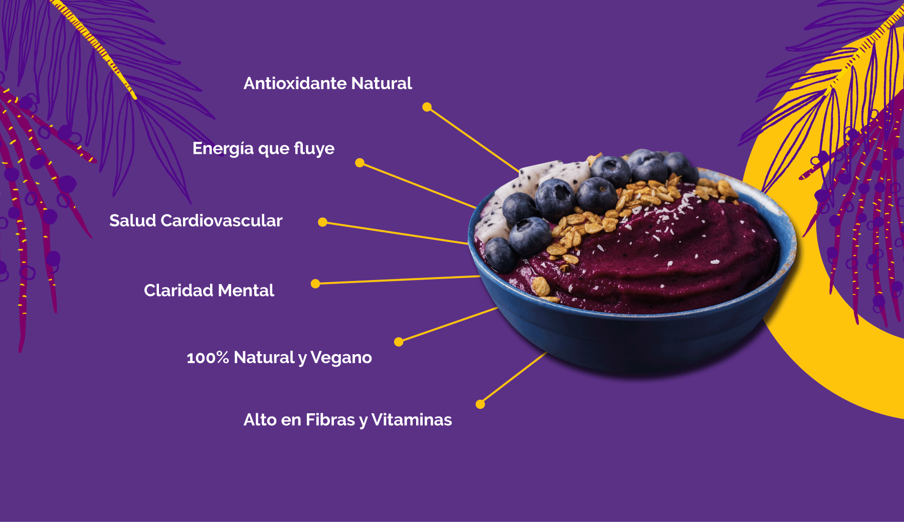 Beneficios del Acaí – Nativo Acai